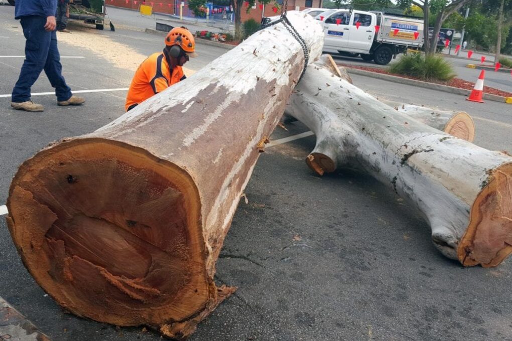 Website Example For Trade Service | Agility Trees: Redback