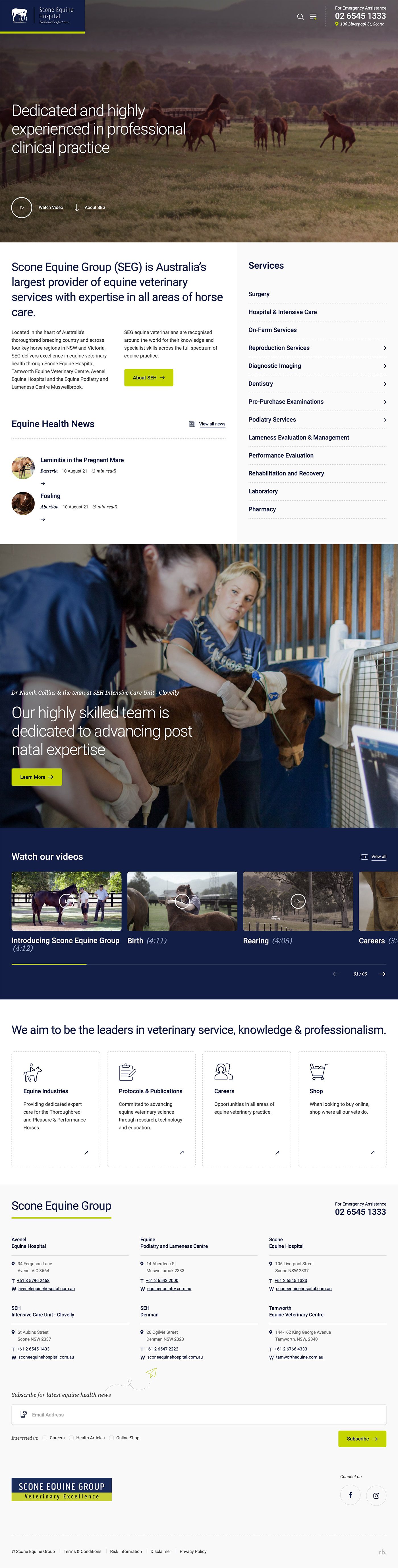 Vet Website Design - Scone Equine Group: Redback