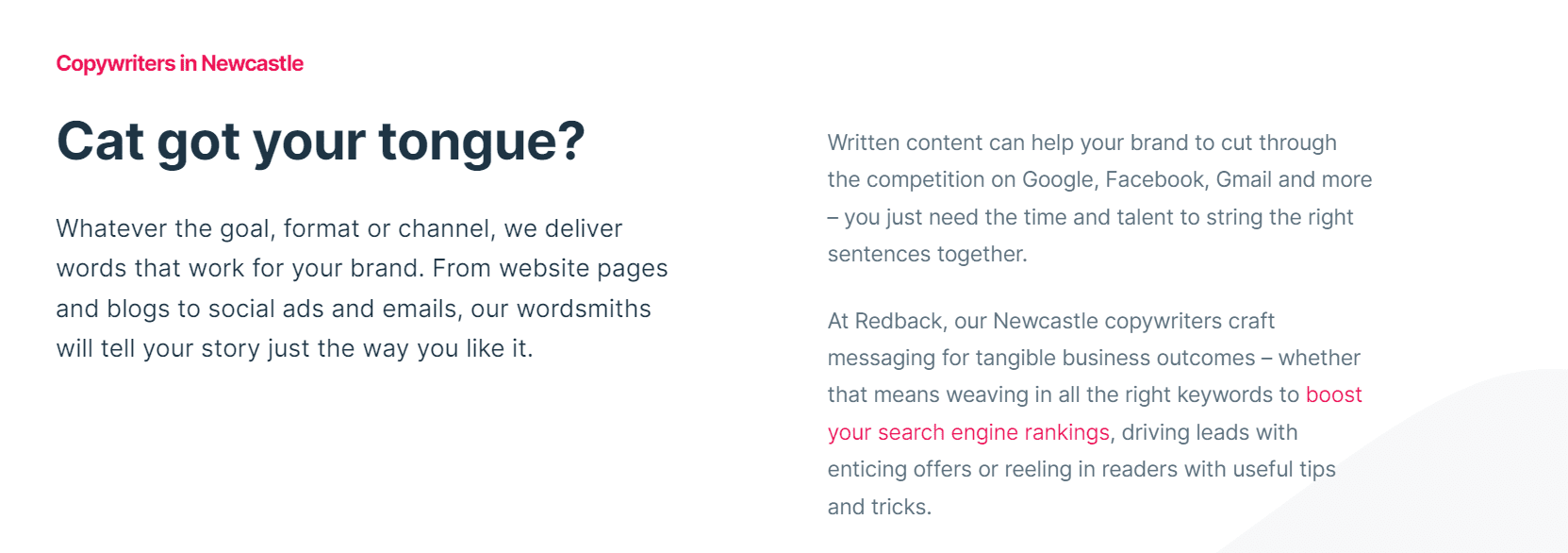 Website Copywriting - Ultimate Guide: Redback