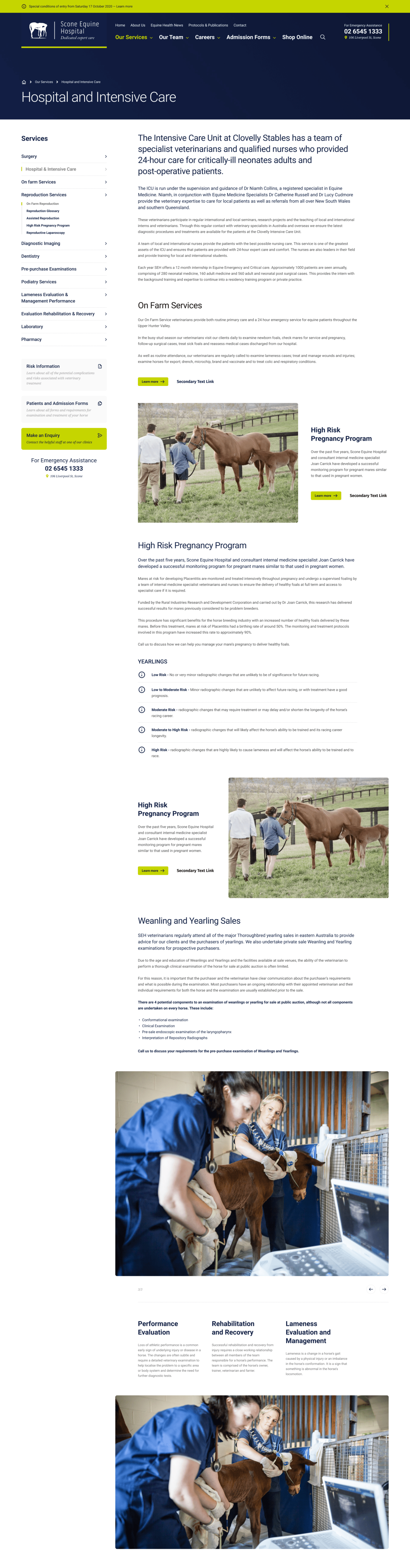 Vet Website Design - Scone Equine Group: Redback